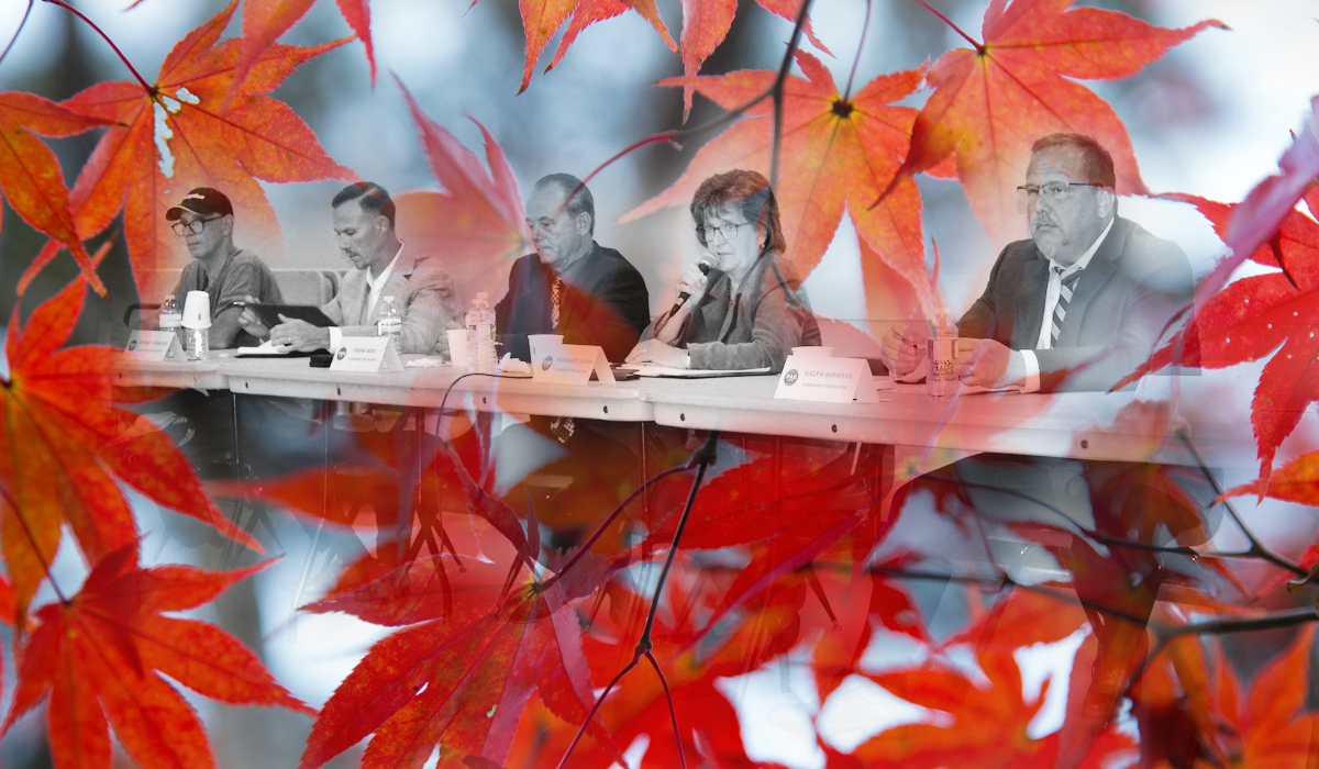 October 24, 2022 Issue » Georgina Post